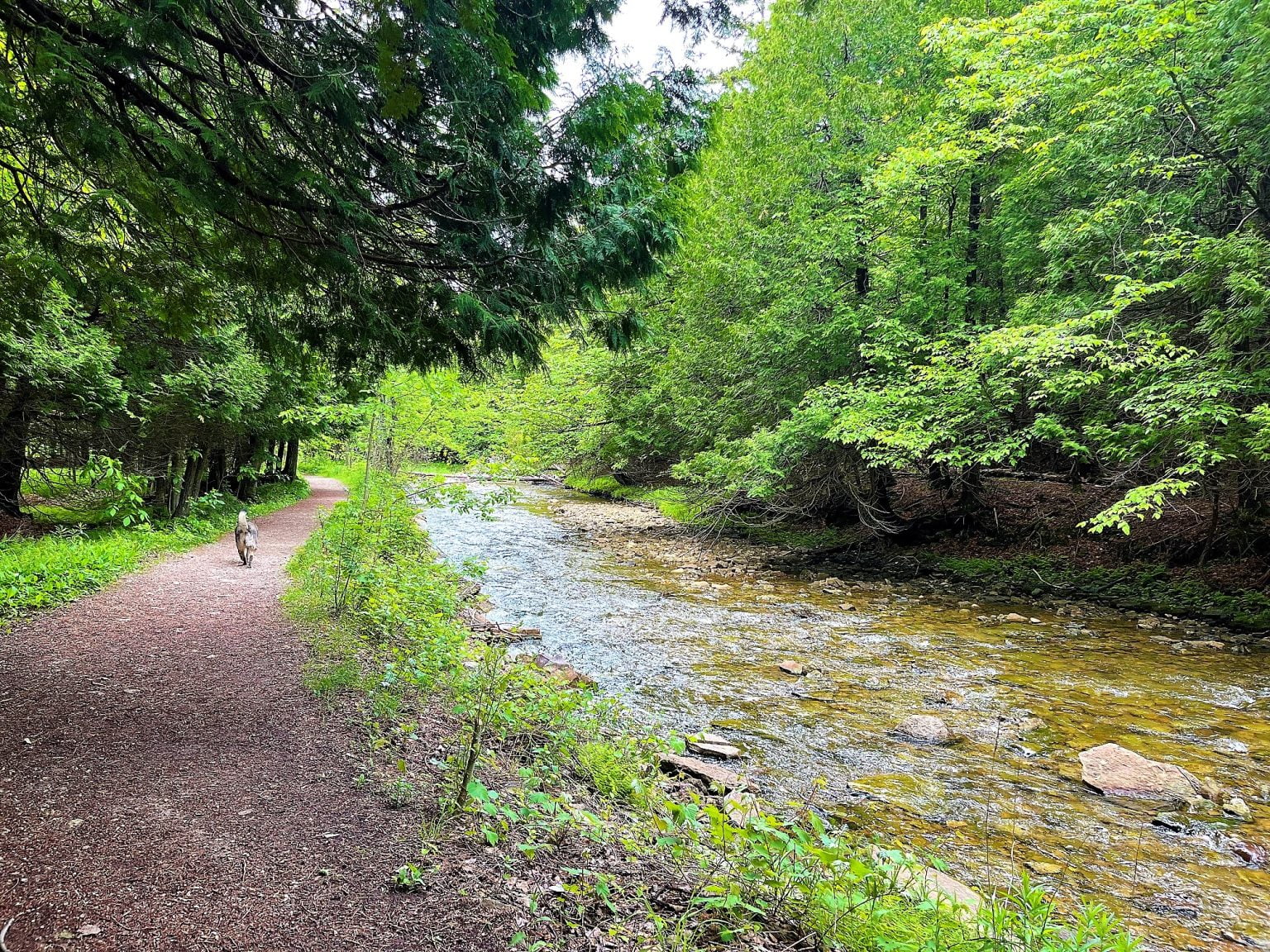 Nature and History Thrive on Manitoulin Island – Vacay.ca