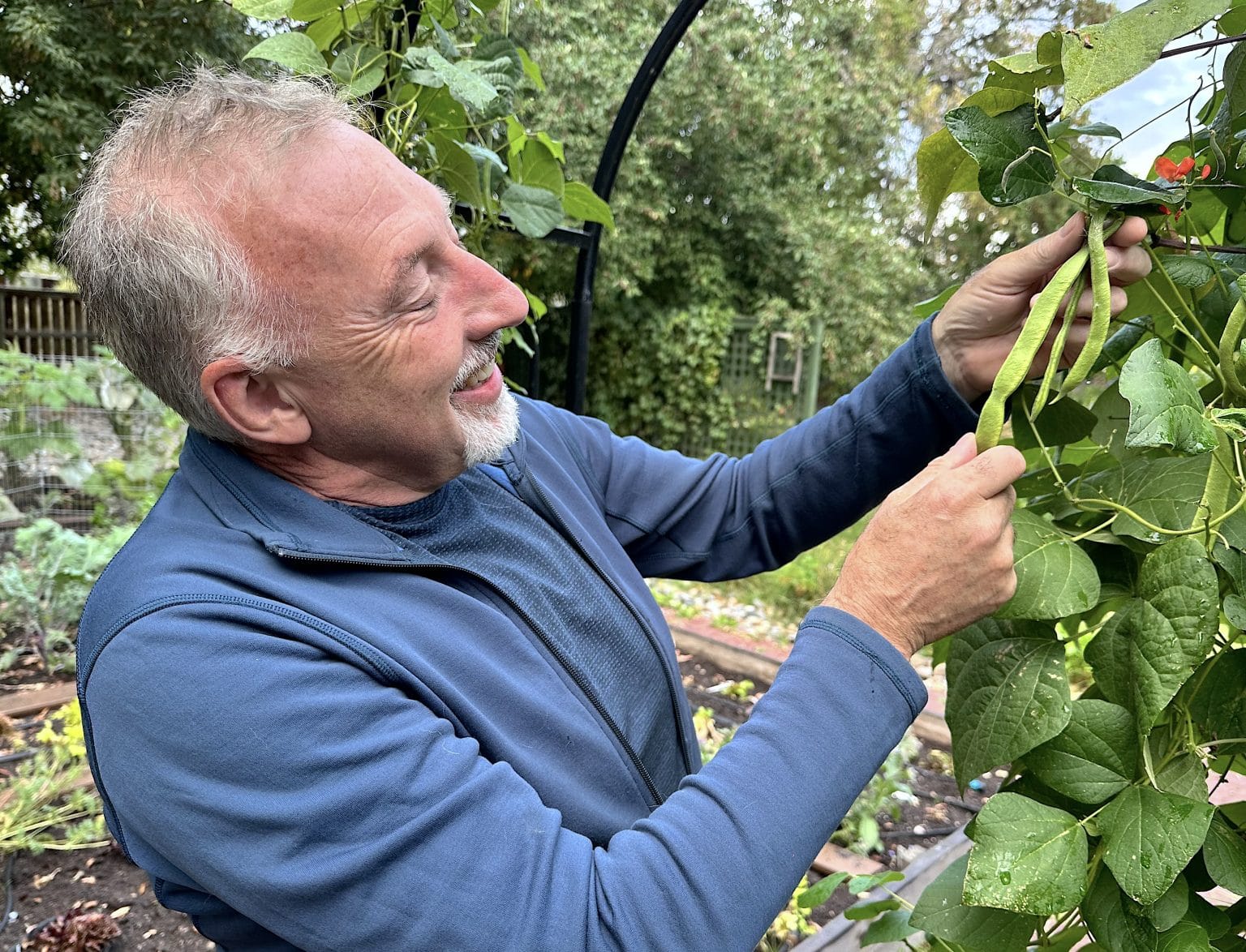 Where’s the Beef? How to Eat Vegetarian in Calgary – Vacay.ca