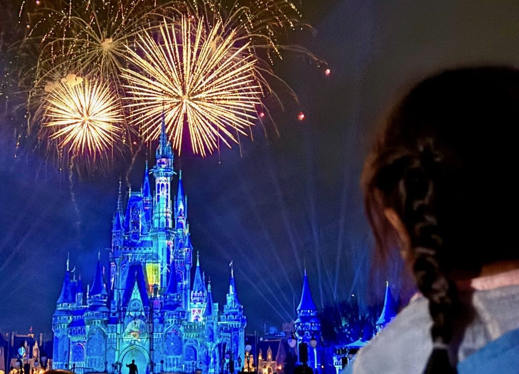 At Disney World, the Joyfulness of New Year’s Eve Is a Daily Affair ...
