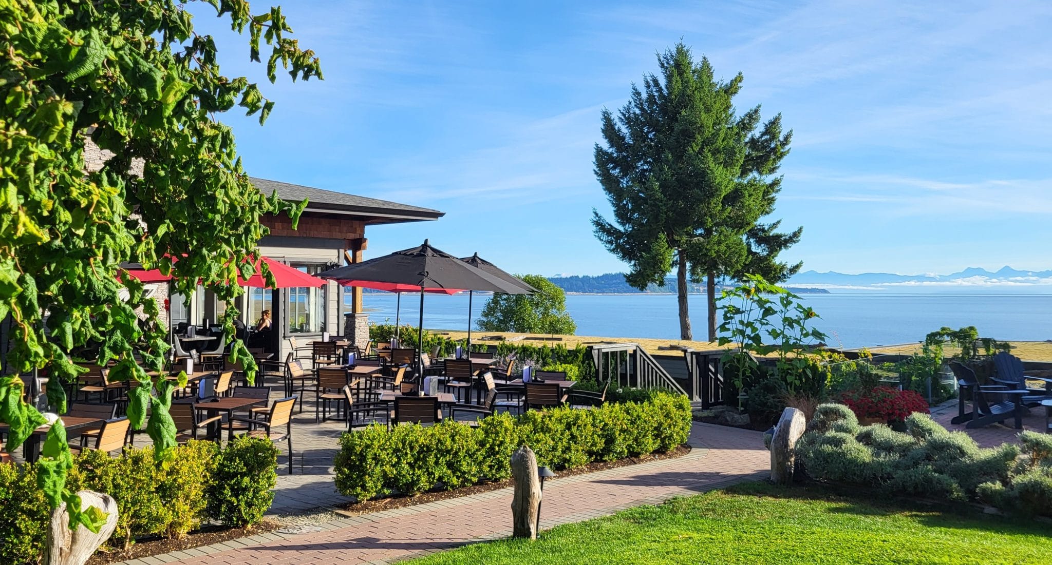New Secluded Caves and Elevated Cuisine Add Lustre to Kingfisher ...