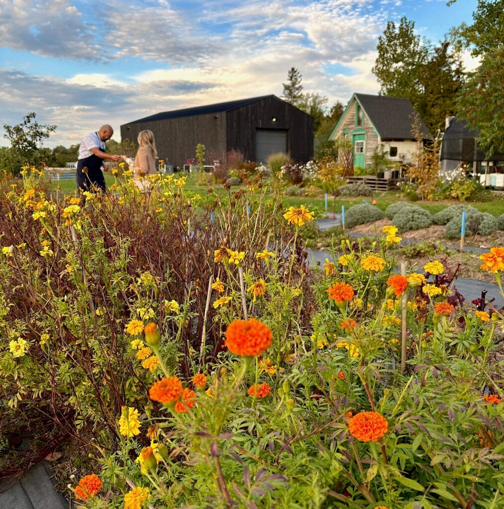 Why Restaurant Pearl Morissette Is My Number 1 Dining Experience of ...